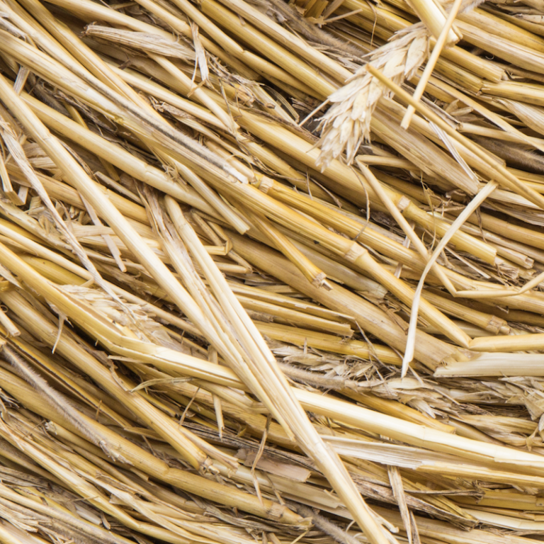 Materiali ecosostenibili per l’edilizia: guida completa