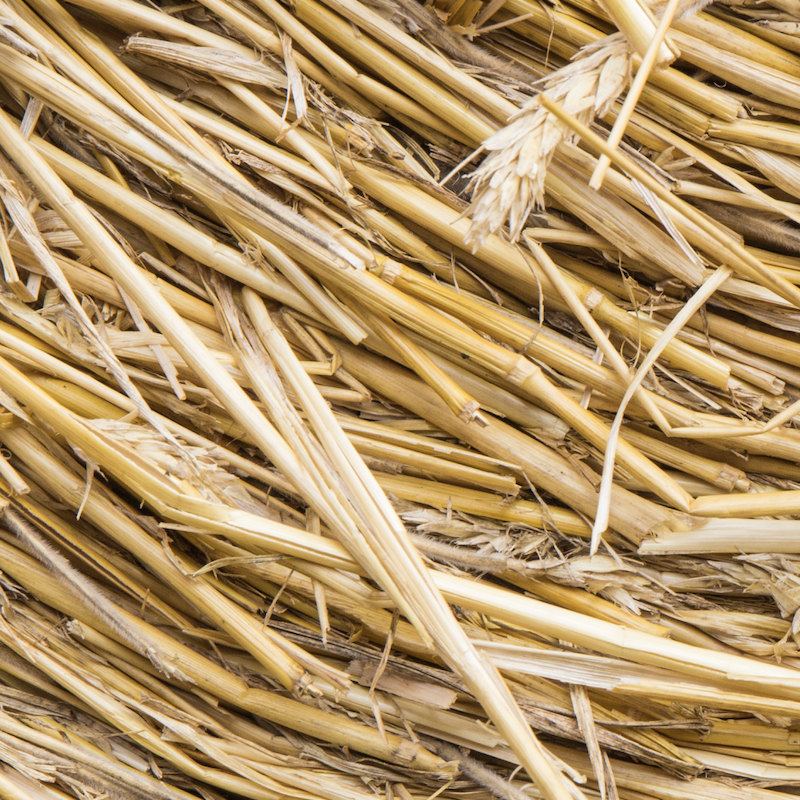 Materiali ecosostenibili per l’edilizia: guida completa